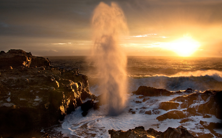 Banyan Tree & Honolua Blowhole Tour – Shaka Tours Maui
